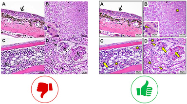 Creating Effective Posters | Design Center - The University of Iowa